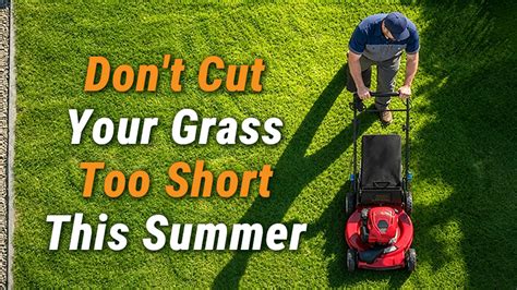 Dont Cut Your Bermuda Grass Too Short This Summer