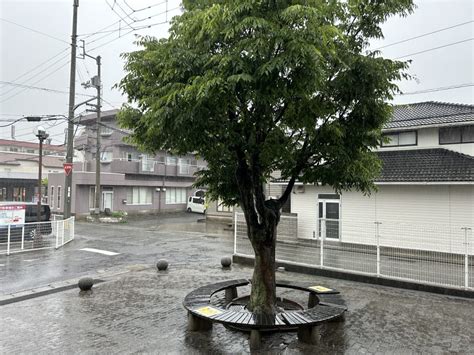 本日の営業 ご案内 ブログ OKスポーツクラブ