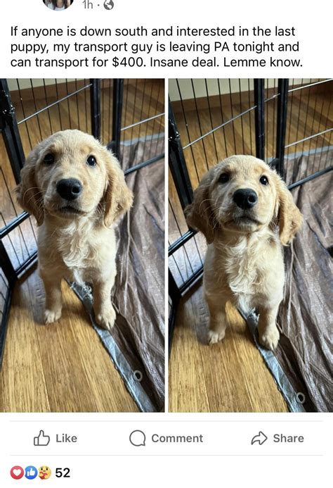 52 Best Midnight Madness Images On Pholder Rapbattles Osugame And