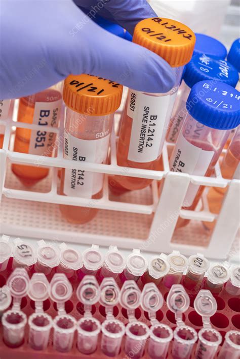 sars cov 2 variant research conceptual image stock image f036 3537