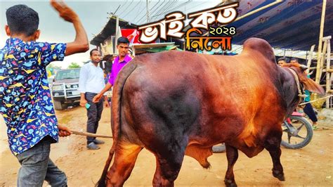 Bhai Koto Nilo 2024 । Gabtoli Gorur Haat 2024 । Qurbani Cow Price In