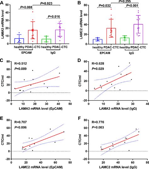 Expression Levels Of A Lama3 And B Lamc2 In Heathy Donor And Pdac