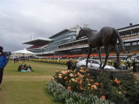 Looking Up To The Grandstand Picture Of Flemington Racecourse