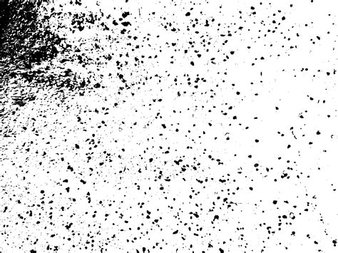 Premium Vector A Black And White Image Of A Black And White