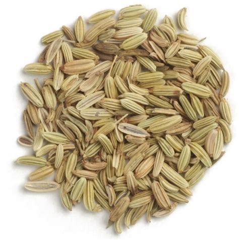 Fennel Seed Bulk The Grain Grocer
