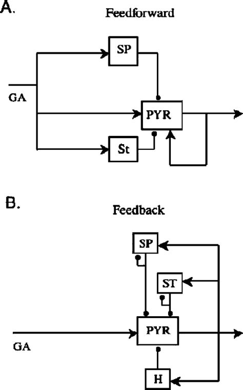 Figure 11 From Neural Processing In The Three Layer Turtle Visual Cortex Semantic Scholar