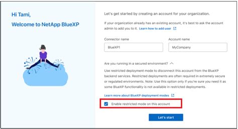 Restricted Mode Option Is Not Diplayed On Bluexp Connector With Nss