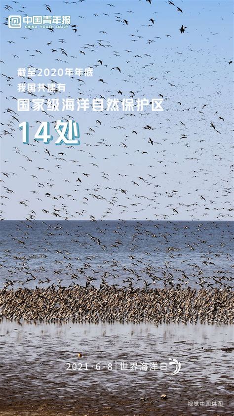 共建地球生命共同体今天是世界海洋日，一起来数读蔚蓝海世界