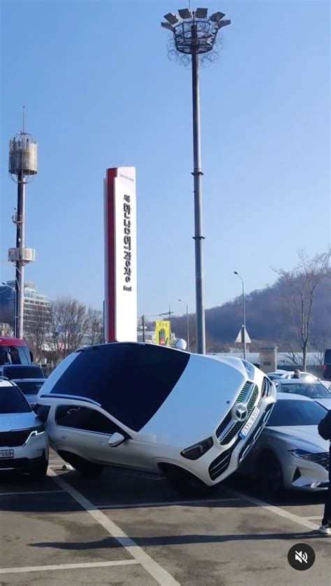 반가워 벤츠 유머 움짤 이슈 에펨코리아