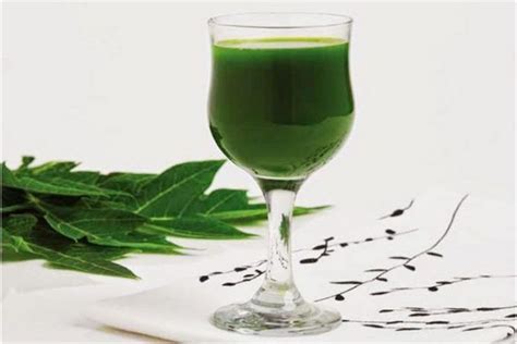 Unbelievable Benefits Of Papaya Leaf Juice