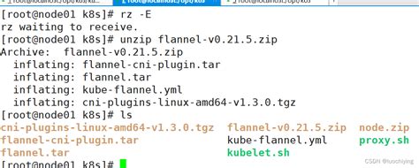 K8s 部署 Cni 网络组件cni网络组建 Csdn博客
