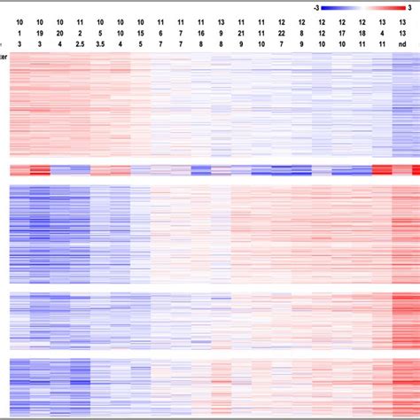 clustering of deg with similar expression profiles across pregnancy