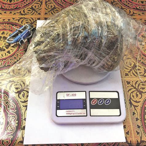 Police Unearth Over 1kg Ganja During Raid Guyana Times