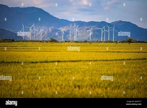 Windmill For Electric Power Production Wind Turbines Generating