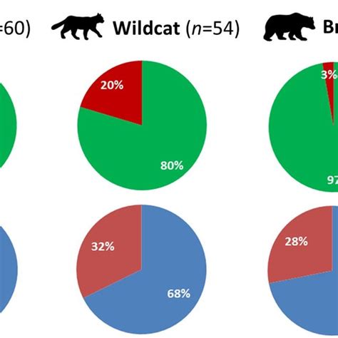 Snp Genotyping Performance Of Noninvasively Collected Samples Samples