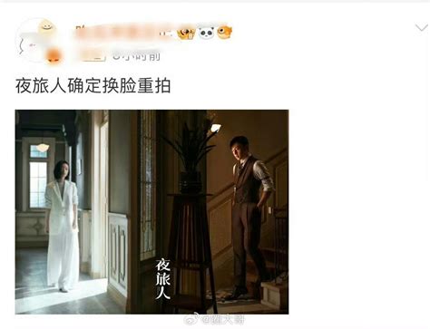 意料之中啊 夜旅人 倪妮 新浪新闻