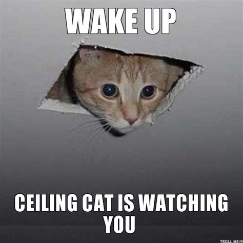 Wake Up Memes Gallery Ebaums World