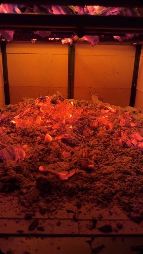 램스턴 L 아사도그릴 L 텍사스바베큐스모커 L 직화그릴 램스턴 바베큐 스모커 라인업입니다 다년간 축적된 데이터는 최고의