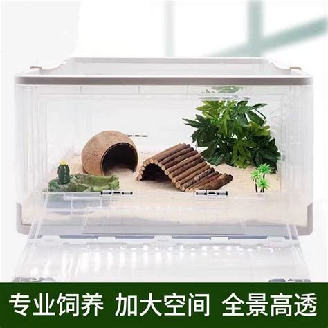 寄居蟹飼養箱盒塑料新手飼養迷你小寵物倉鼠刺猬亞克力透明折疊箱 露天市集 全台最大的網路購物市集