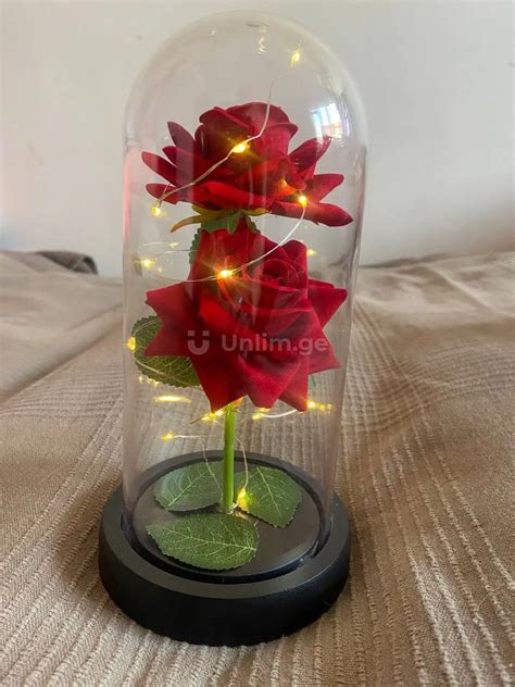 საყურე 10 ლარი ღამისთევა 15 ლარი