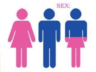 Differences Between Gender Sex And Sexual Identity III PPT Free Download