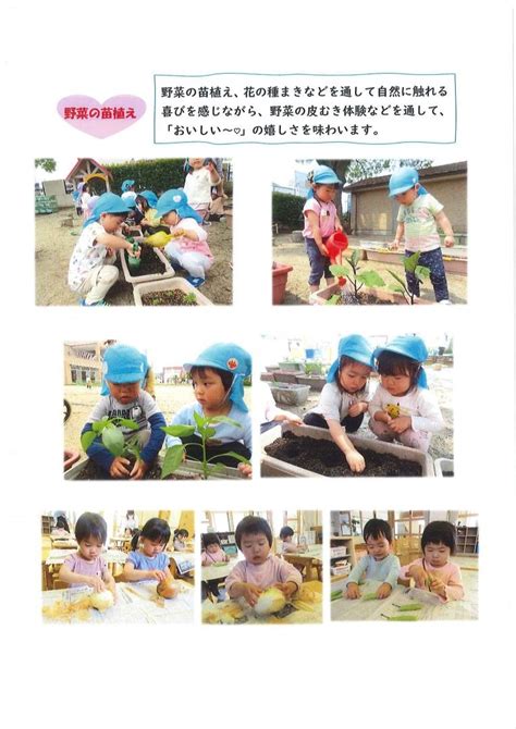 新しい仲間がふえたよ ふなっこぐみ2歳児施設だよりWEB版健祥会グループ