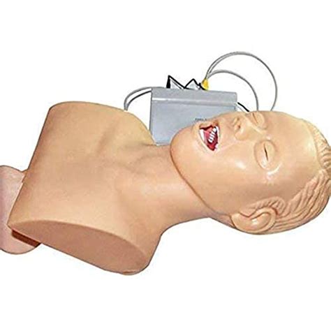 Intubation Study Model Training Teaching Model Electronic Human