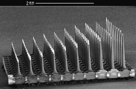 Imaging Of Utah Electrode Array Implanted In Cochlear Nerve