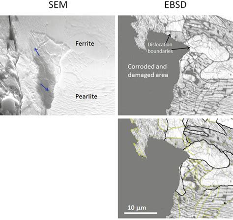 Sem Left And Ebsd Right Micrographs Showing The Same Sub Surface