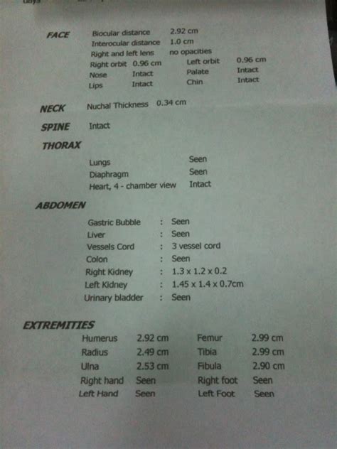 My First Belly Bump The Congenital Anomaly Scan