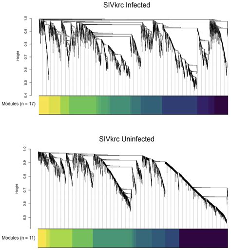 Weighted Gene Co Expression Network Analysis Identified A Network Of