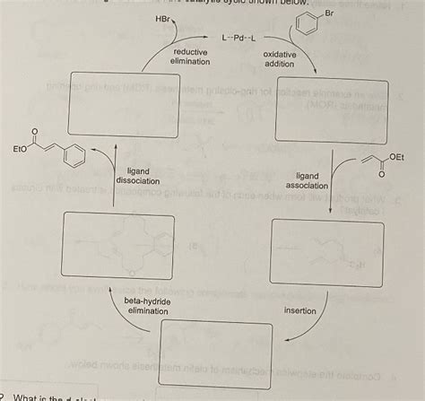 solved fill in the missing structures in the catalytic cycle