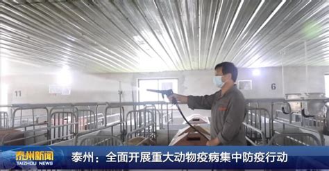 泰州：全面开展重大动物疫病集中防疫行动我苏网