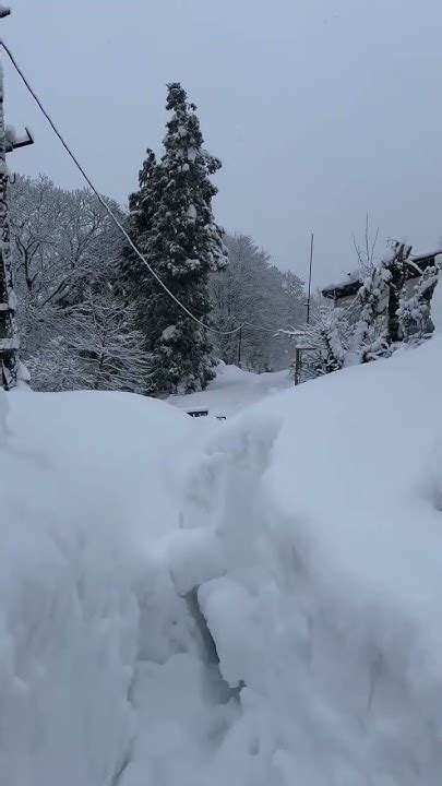 ყოველ დღე ვჭრი გზას კიდე ითოვა დაამატა კაციშვილი დამხამრე არაა