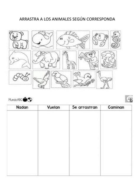 Clasificacion De Animales Online Activity For Primero Artofit