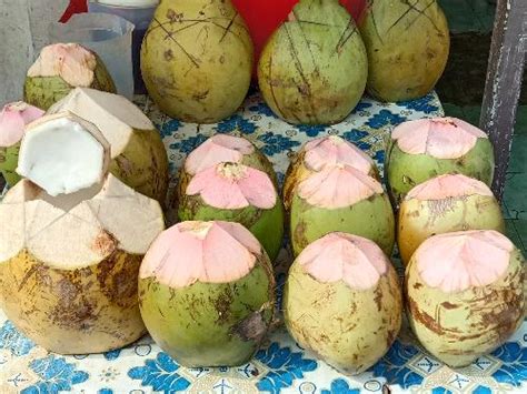 Daftar Harga Menu Delivery Es Kelapa Muda And Ijo Asli Jampang Jakarta