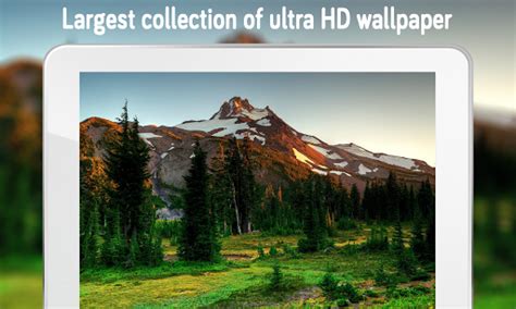برنامه Nature Wallpaper 4k دانلود کافه بازار