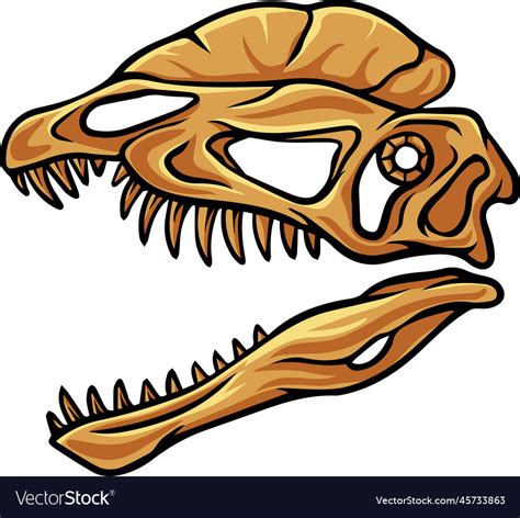Dilophosaurus Dinosaur Skull Fossil Royalty Free Vector