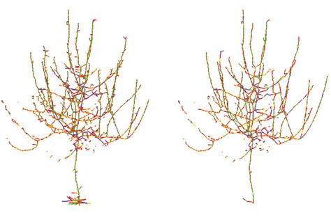 5 The Extracted Skeleton Left And The Filtered Skeleton Right Of