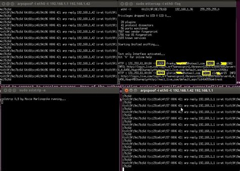 Montar Un Ataque Man In The Middle Con Bash Scripting Hacking Land