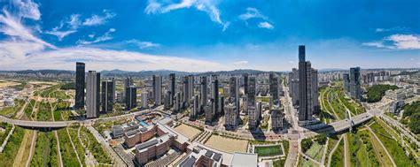 특별자치시인 세종시 건설 취지 살려야