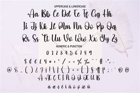Oriental Script Font