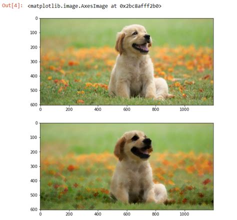 Advance Image Processing Using OpenCV Nomidl