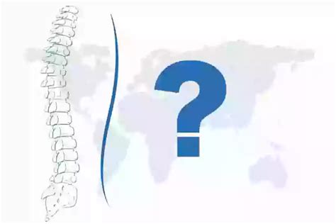 Knee Replacement Surgery Faqs Op Dr Mustafa İbrahim Çimen
