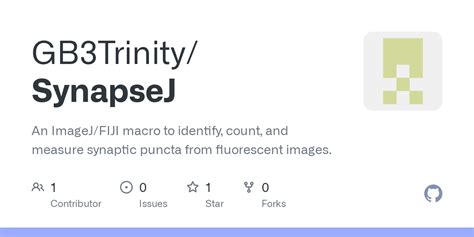 Github Gb3trinitysynapsej An Imagejfiji Macro To Identify Count