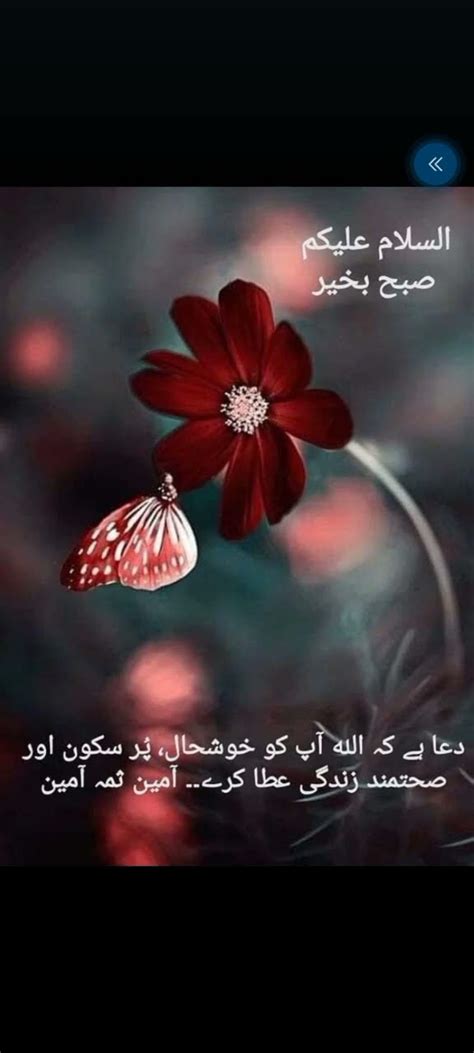 Subah Ki Khoobsurat Dua 💐 Youtube