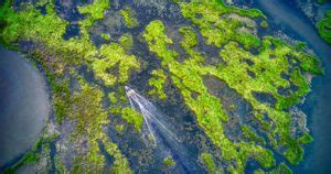 When Is Wetland Mitigation Required Three Step Rule Explained