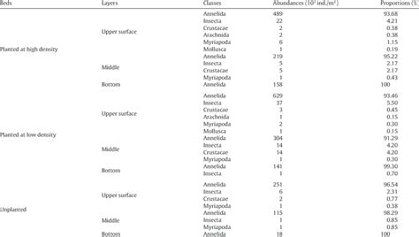 Summary Of The Macrofauna Distribution In The Cw Sediment Layers Download Table