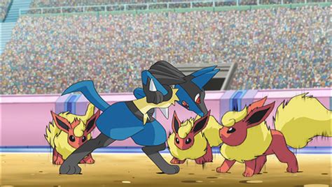 A Unova League Evolution Pokémon Tv