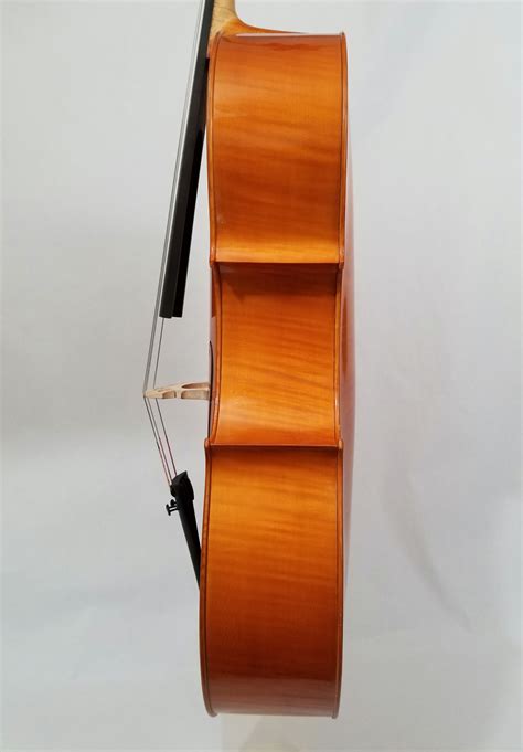 Luca Zerilli Udine Italy 2018 Violinshop